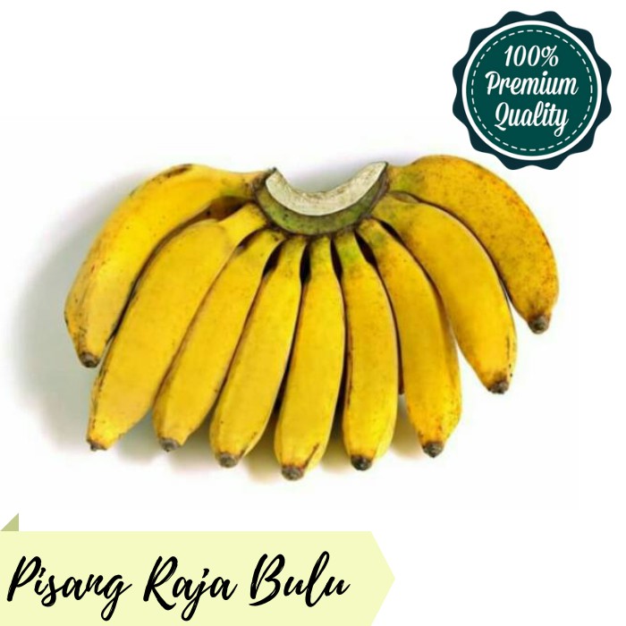 Jual PISANG RAJA BULU SEGAR BANDUNG 1 KG | Shopee Indonesia