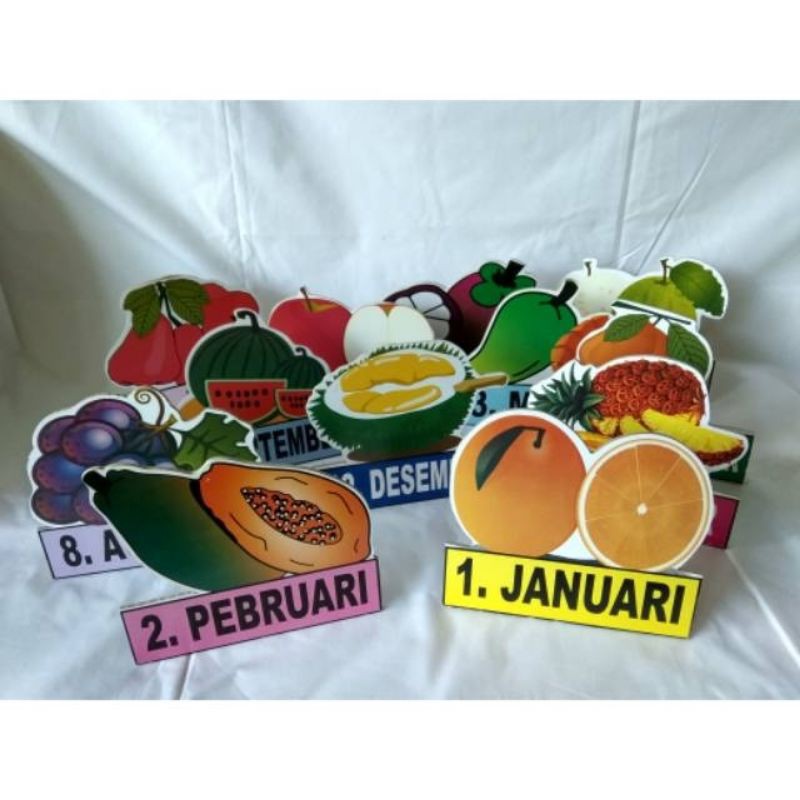 Jual maket berdiri buah bulan-alat peraga edukatif | Shopee Indonesia