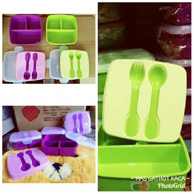 Jual Tempat nasi kotak/ TNK/BOX TNK/ BOX NASI GOLDEN SUNKIST | Shopee ...