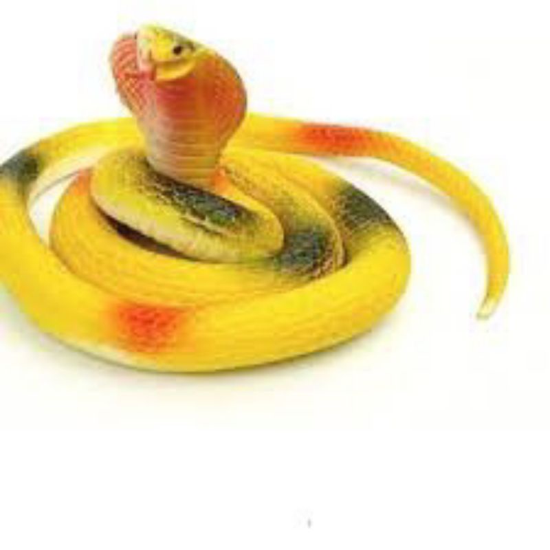 Jual mainan karet ular cobra untuk prank | Shopee Indonesia