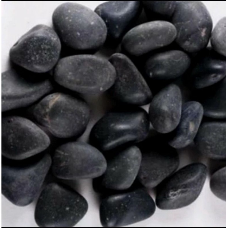 Jual batu koral hias//batu kupang hitam abu untuk taman 10 kg | Shopee ...