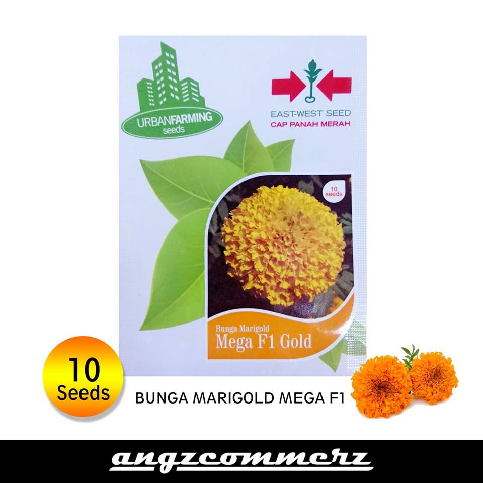Jual Benih Bunga Gumitir Marigold Mega F1 Gold Gemitir 10 Biji PANAH ...