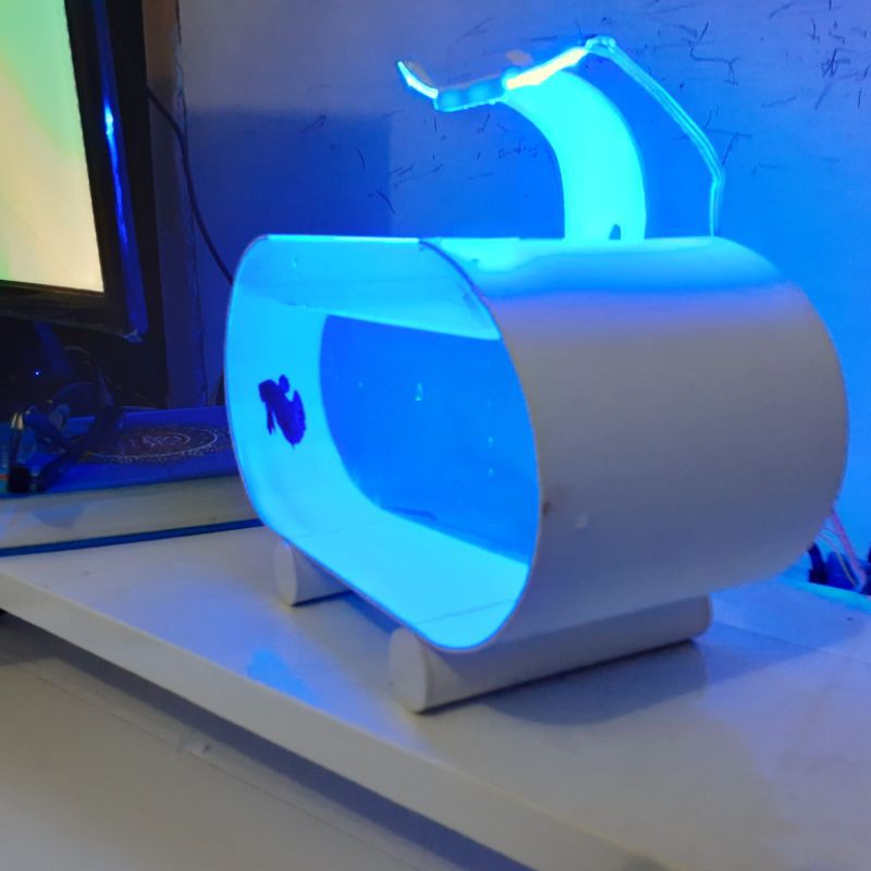 Jual Aquarium Mini Unik Cupang Gapi Ikan Hias Kecil untuk memperindah ...