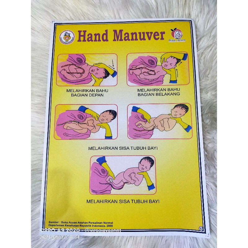 Jual Poster no 12 hand manuver | Shopee Indonesia