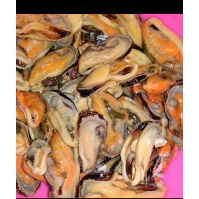 Jual Daging kerang hijau dan kerang dara 500gram | Shopee Indonesia