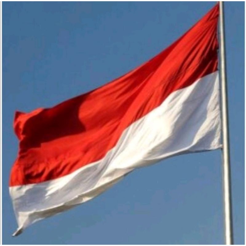 Jual Bendera merah putih bendera indonesia | Shopee Indonesia