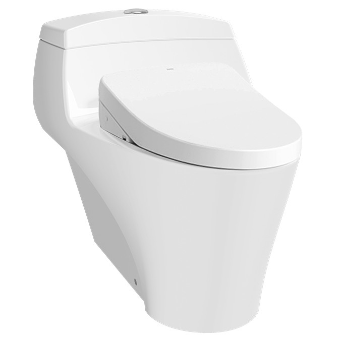Jual Toto Closet Rimless CW823REJ Rimless w/ CCT One Piece Toilet ...