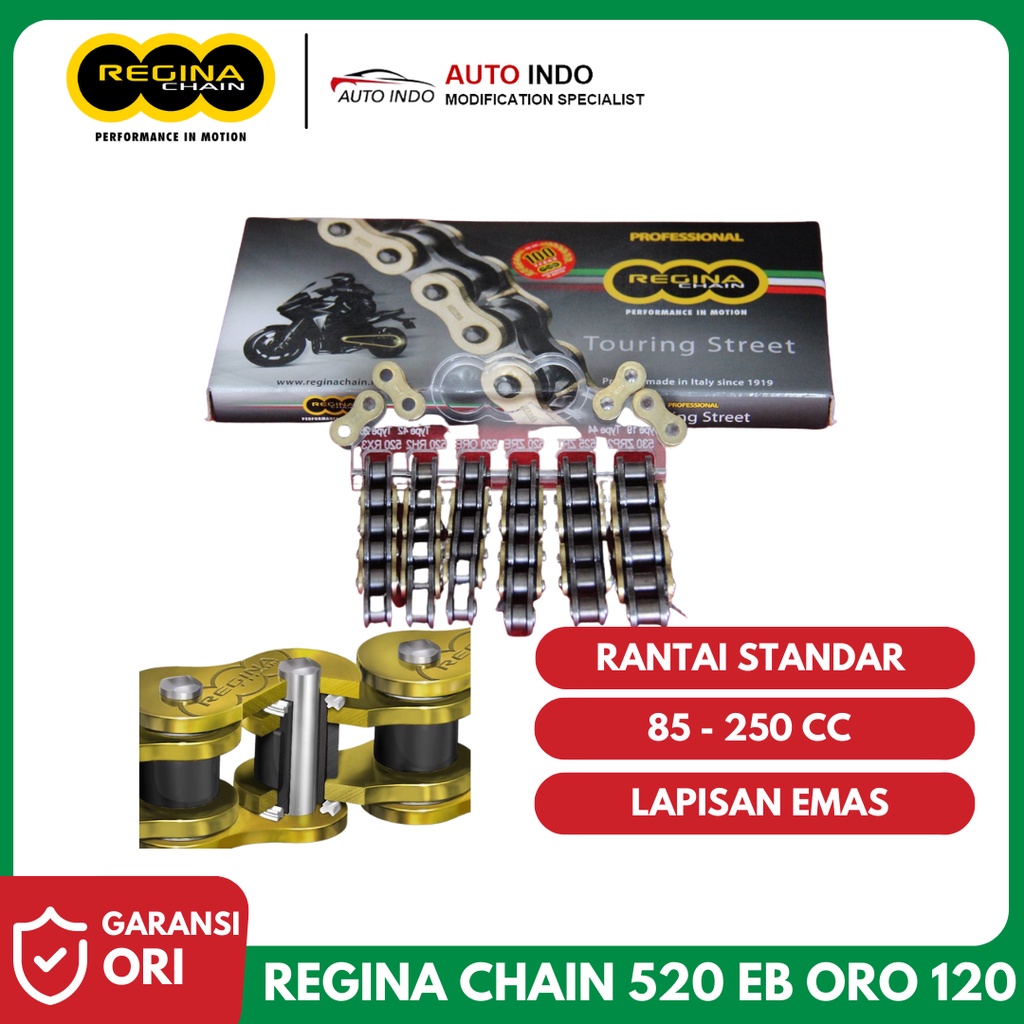 Jual Rantai Motor Regina Chain 520 EB ORO 120 Touring Street | Shopee ...