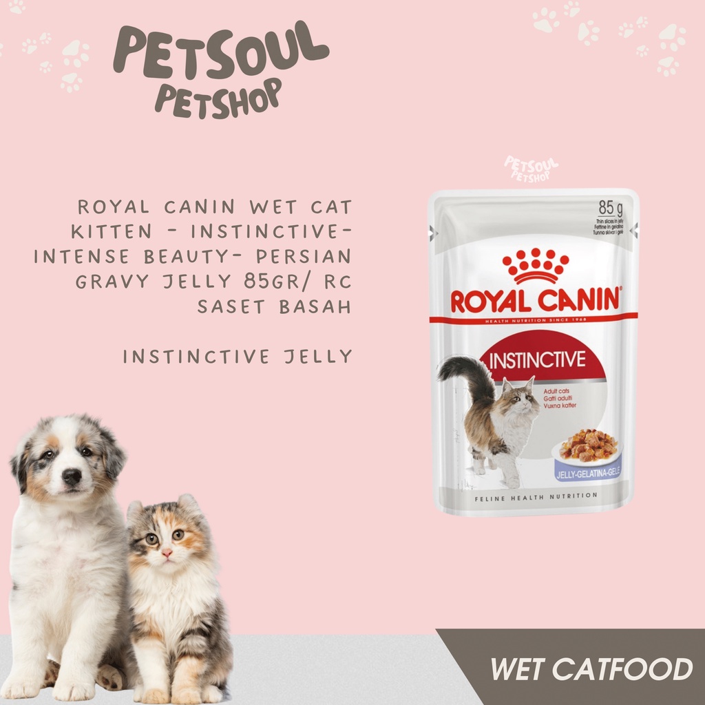 Jual Royal Canin Wet Cat Kitten - Instinctive- Intense Beauty- Persian ...