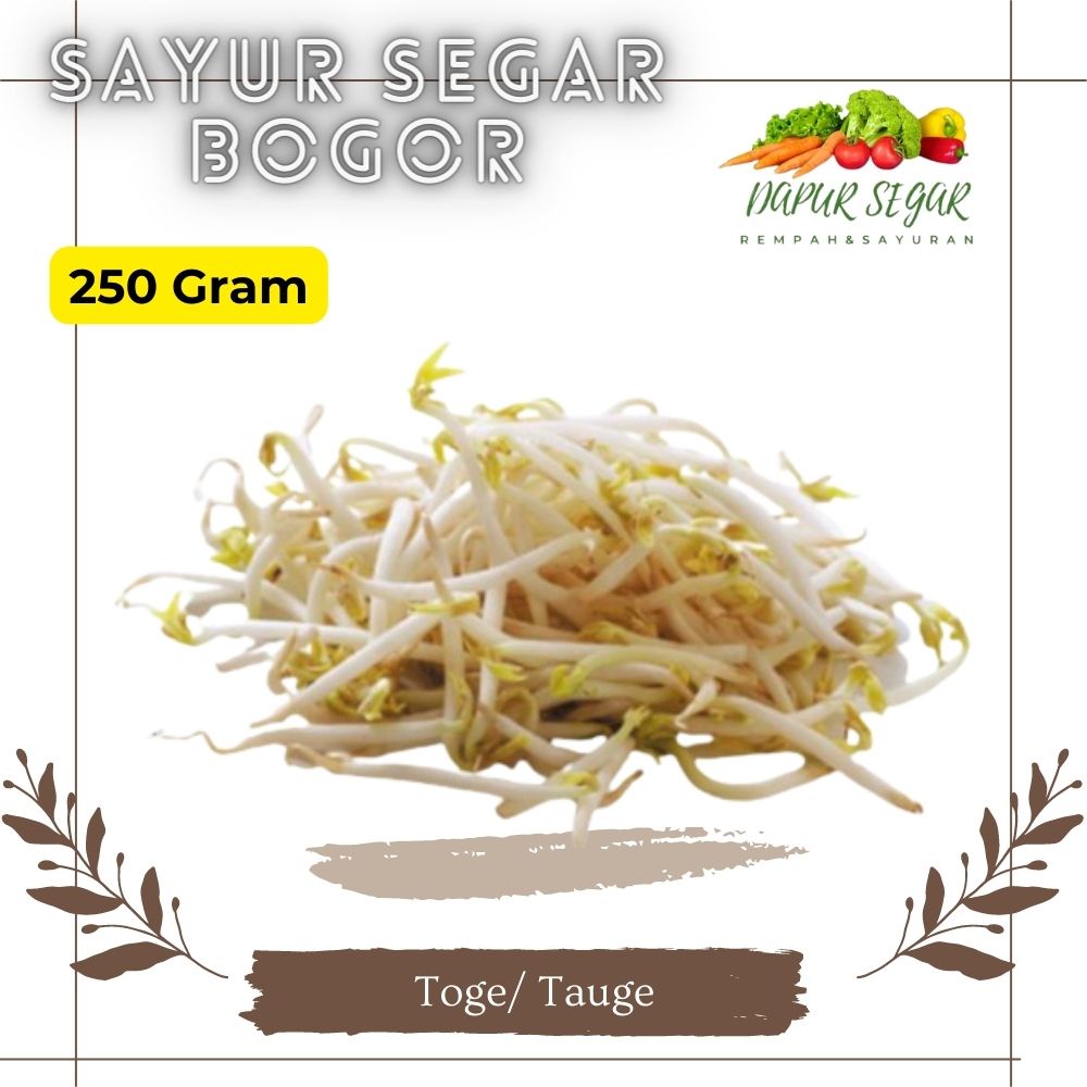 Jual Toge / Tauge / Touge 250 Gram Sayur Sayuran Segar Bogor - Dapur ...