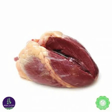 Jual Daging jantung sapi segar per 1,5 kg | Shopee Indonesia