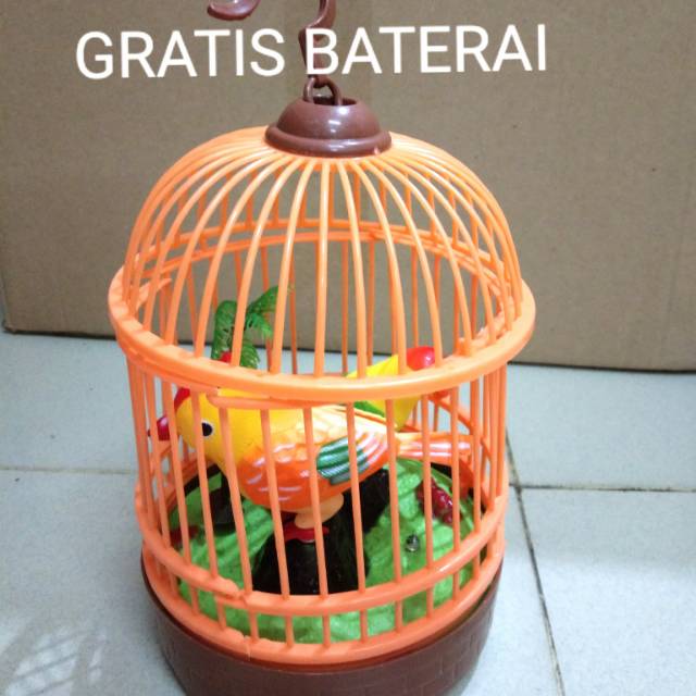 Jual Mainan burung dalam sangkar wisdom bird | Shopee Indonesia