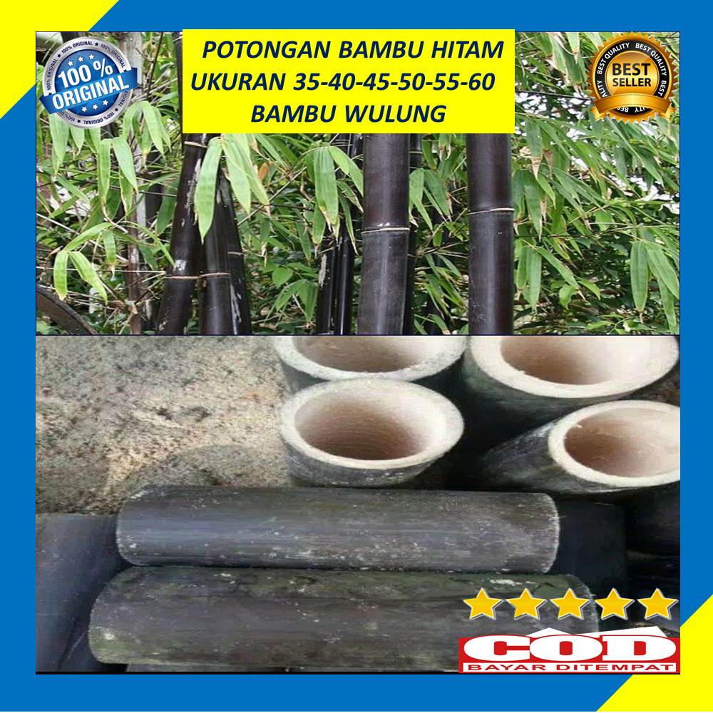 Jual Potongan Bambu Hitam Bambu Wulung Ukuran 35-60 Cm | Shopee Indonesia