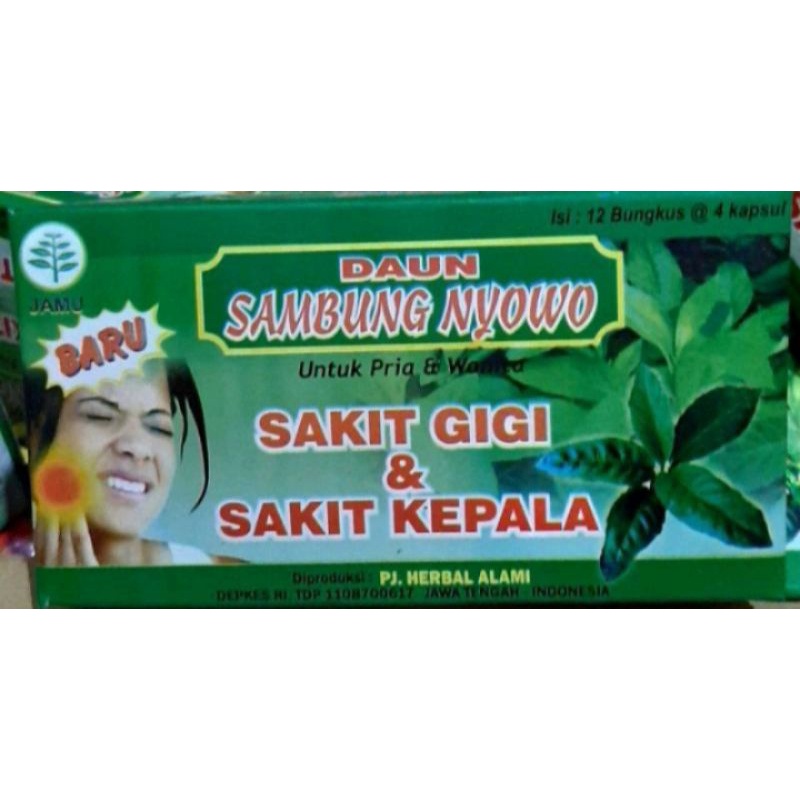 Jual Obat Sakit Gigi / gigi bengkak Ampuh DAUN SAMBUNG NYAWA Original ...