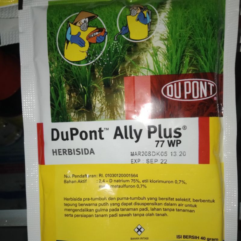 Jual Ally plus 77wp (40gr) | Shopee Indonesia