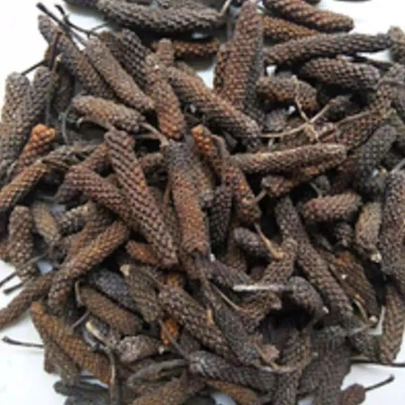 Jual tanaman buah cabe Jawa/cabe jamu 1kg | Shopee Indonesia