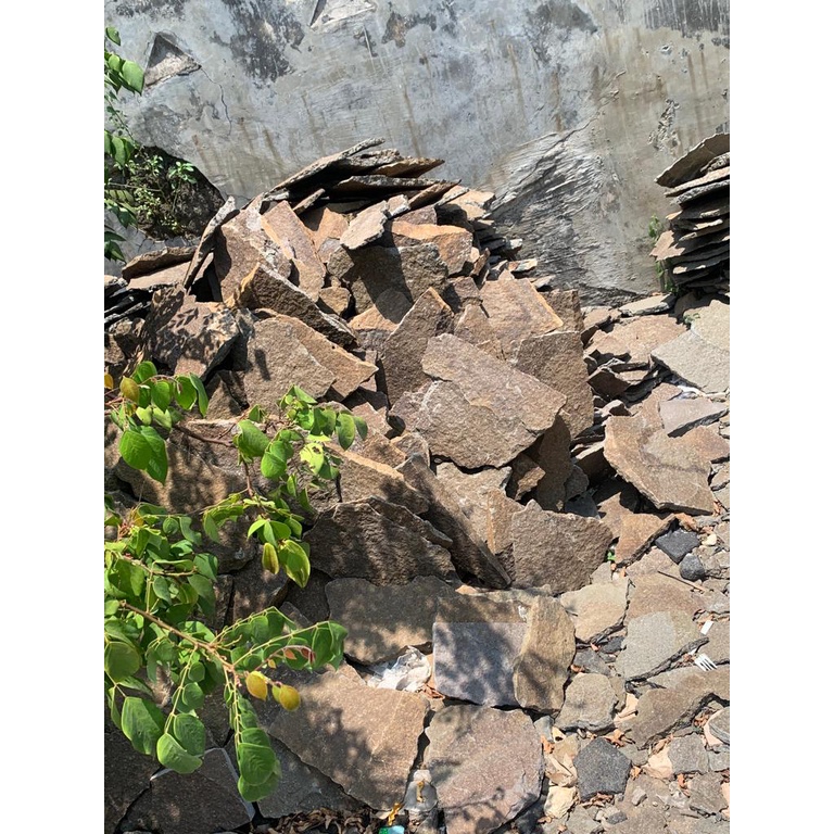 Jual Batu Lempeng Jember | Shopee Indonesia