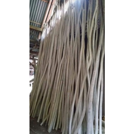 Jual Ranting Jati / Kayu Jati / Kayu Tiang Macrame / wood / Ranting ...
