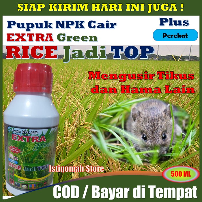 Jual RICE JADI TOP 500ml Pupuk NPK Cair Pelebat Buah Padi & Mengusir Hama Tikus Pada Tanaman ...