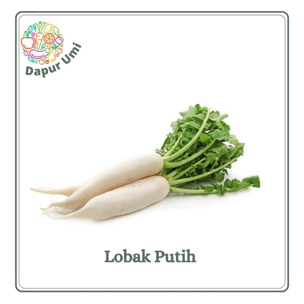 Jual LOBAK PUTIH - SAYUR SAYURAN SEGAR PURWAKARTA | Shopee Indonesia Jual LOBAK PUTIH - SAYUR SAYURAN SEGAR PURWAKARTA | Shopee Indonesia