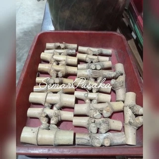 Jual Bambu Pethuk Terlengkap & Harga Terbaru Juni 2025 | Shopee Indonesia