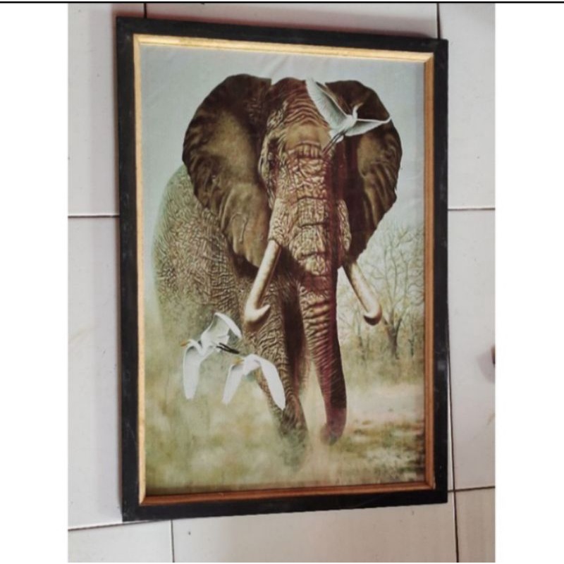 Jual Lukisan cetak hiasan dinding murah gambar Gajah&elang plus bingkai ...