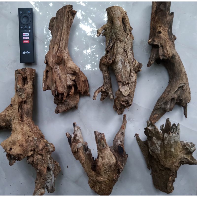 Jual Kayu rentek driftwood aquascape - size S / Kayu aquarium | Shopee ...