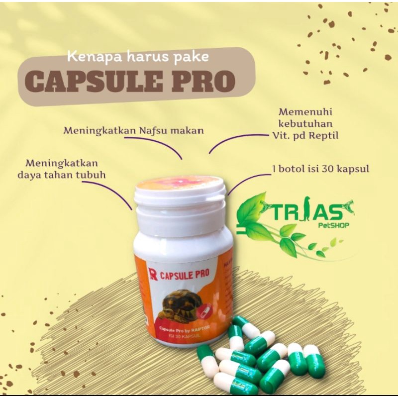 Jual CAPSULE PRO VITAMIN REPTIL/VITAMIN REPTILE/CAPSULE OBAT IGUANA ...