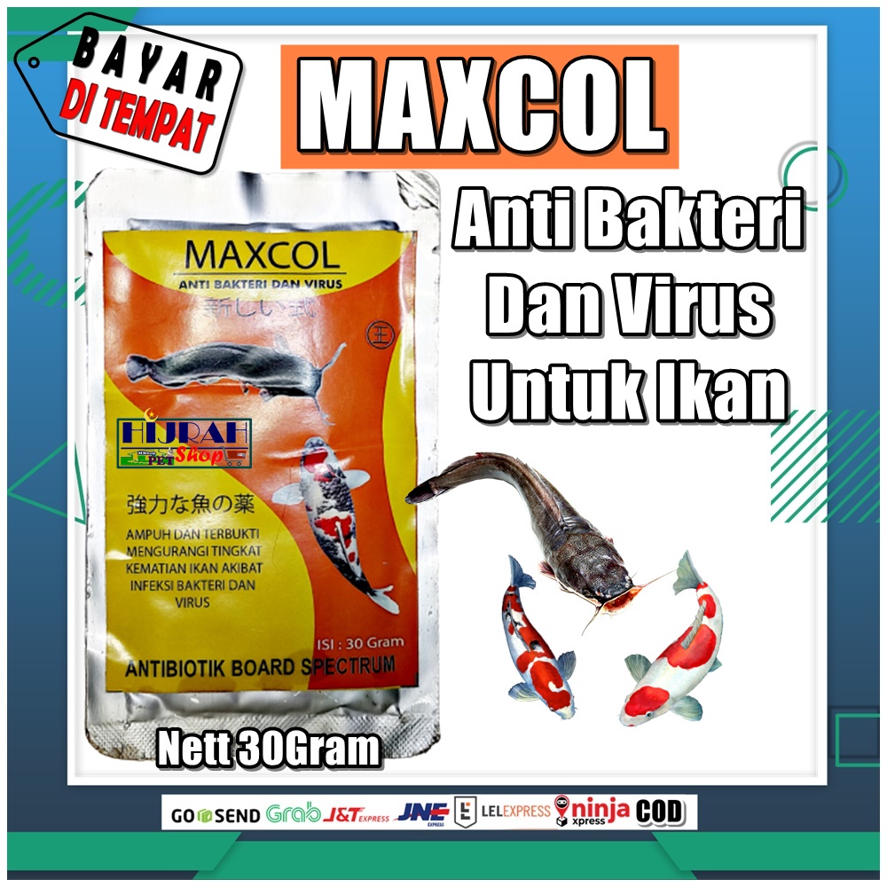 Jual Obat Ikan Antibiotik Ikan Spektrum Luas Obat Anti Bakteri Dan ...