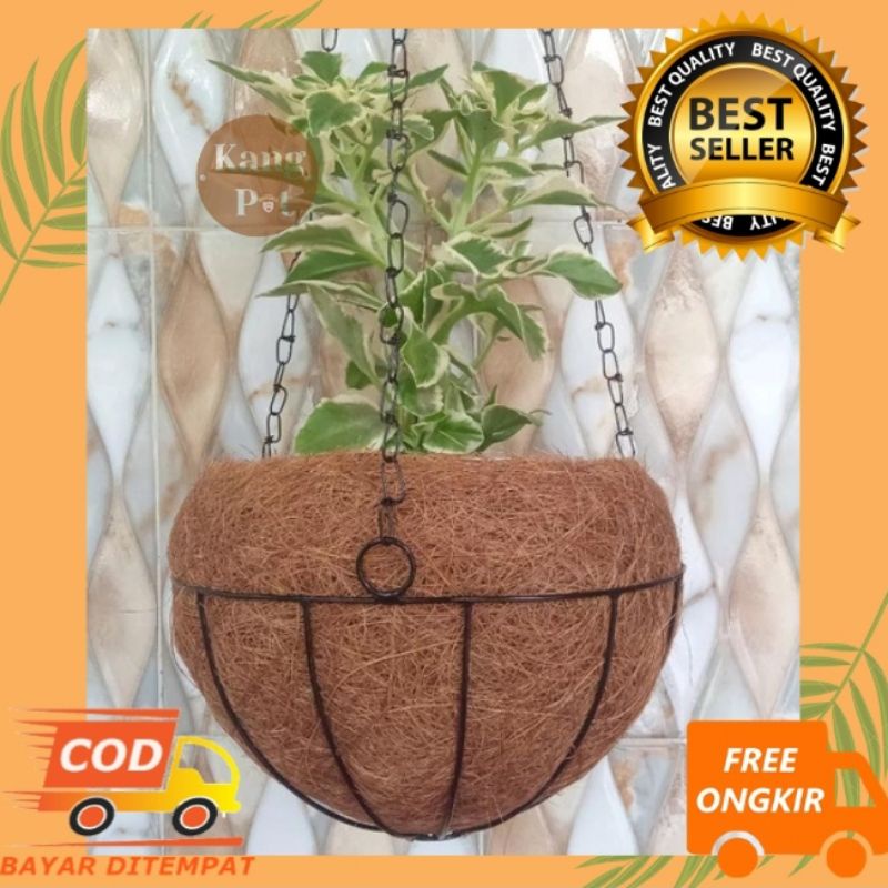 Jual pot bunga sabut kelapa gantung rantai besi besar tempel bunga ...