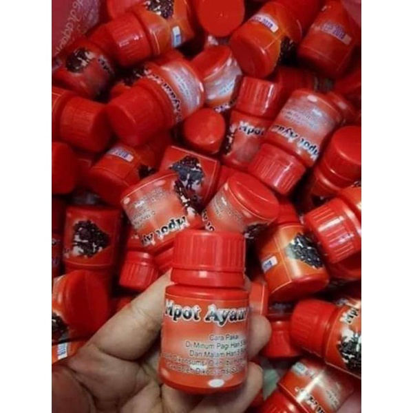 Jual mpot ayam momo momoidea | Shopee Indonesia