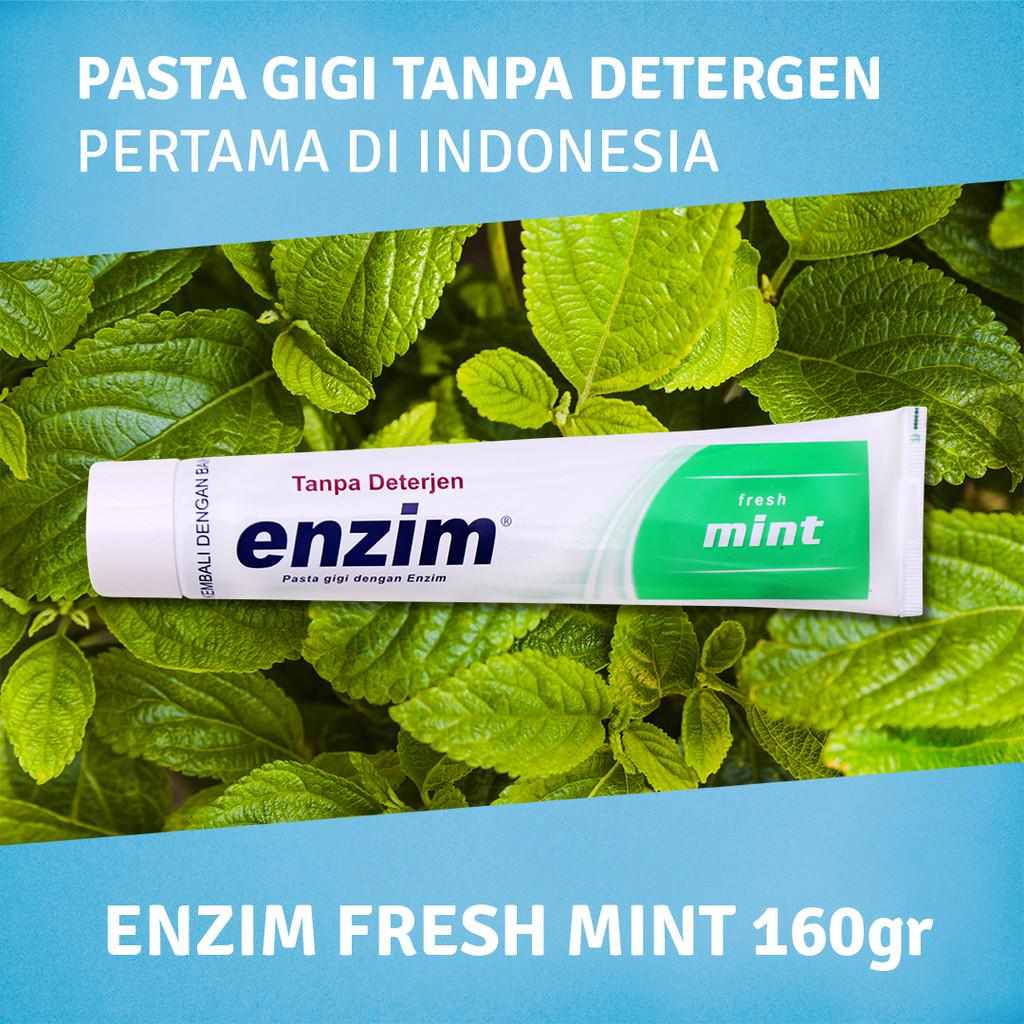 Jual Enzim Pasta Gigi Fresh Mint 160 gr x 2 | Shopee Indonesia