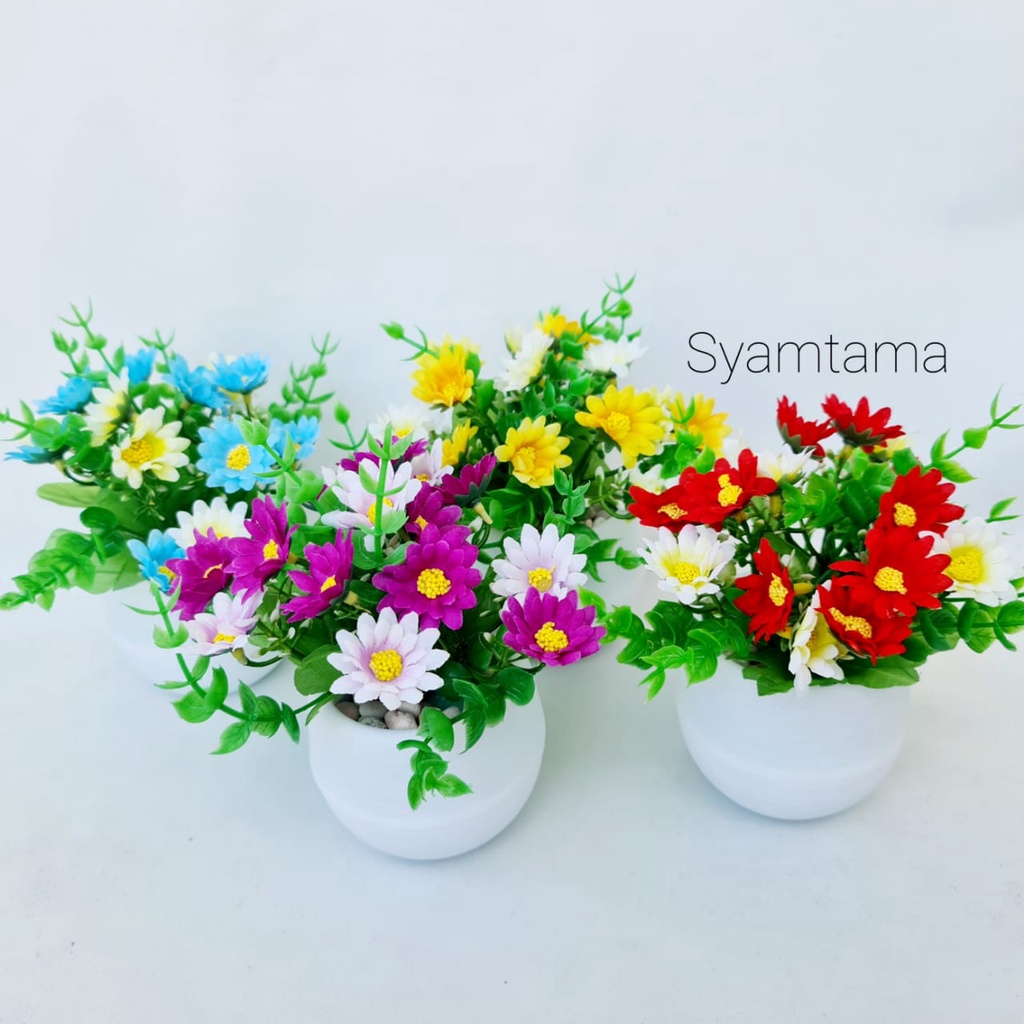 Jual Syamtama - Bunga Mini Daisy Vas Bulat Plastik - Bunga Pajangan ...