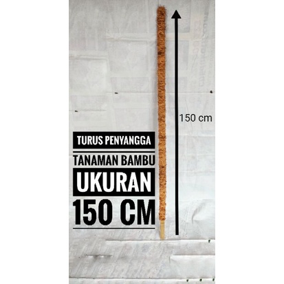 Jual Turus Penyangga Tanaman Ukuran 150 cm | Shopee Indonesia