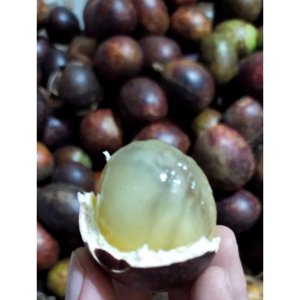 Jual Matoa buah segar 1kg | Shopee Indonesia