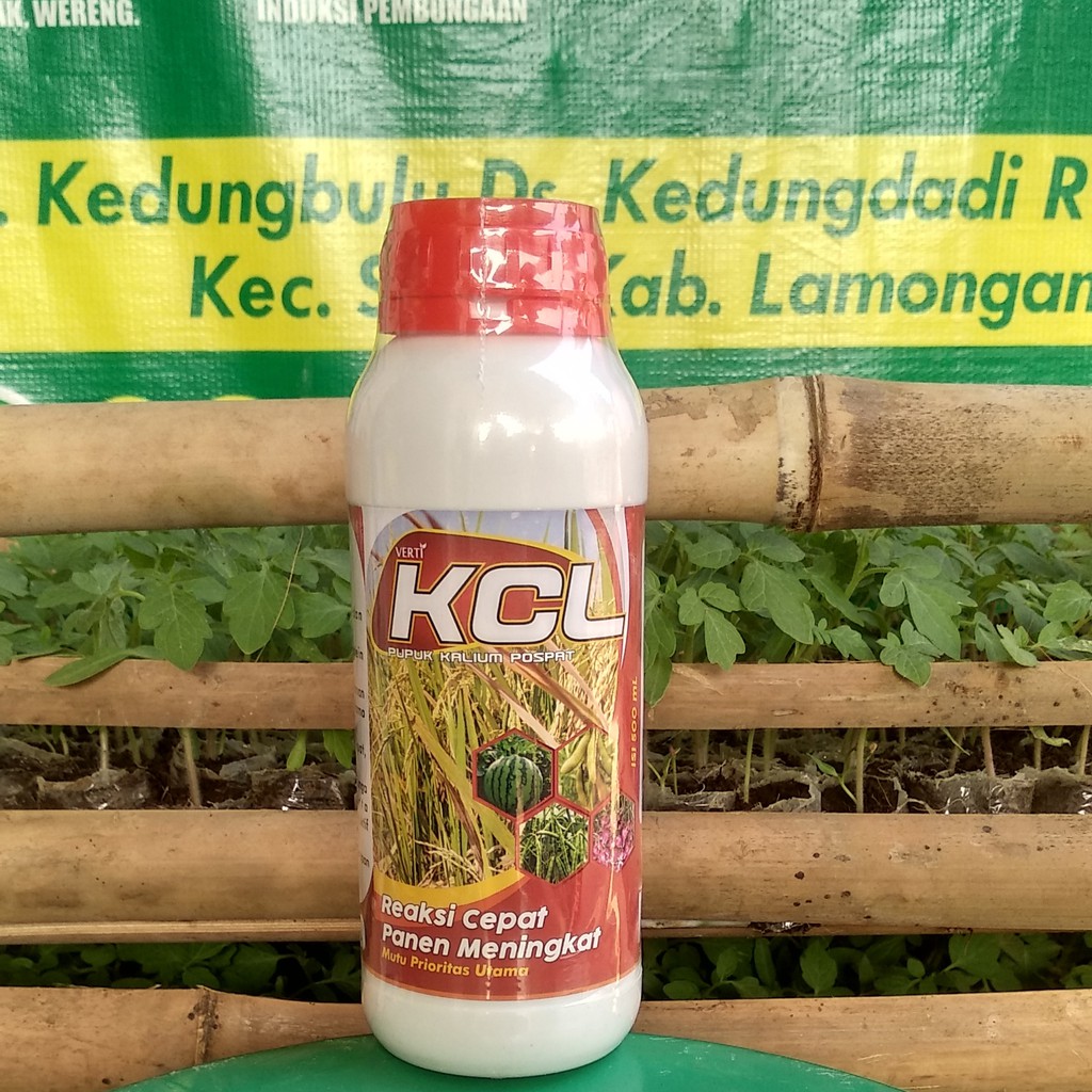 Jual Pupuk kalium Phosphate (KCL) Cair 500ml | Shopee Indonesia