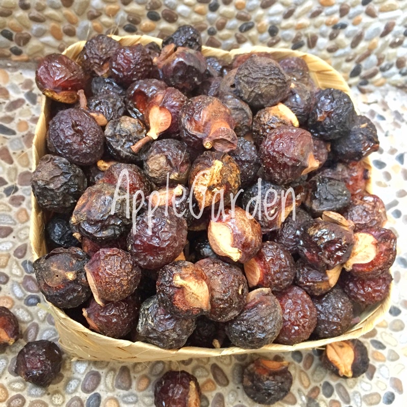 Jual Lerak tanpa biji/ soapnut/soapberry/klerek 250 gr | Shopee Indonesia