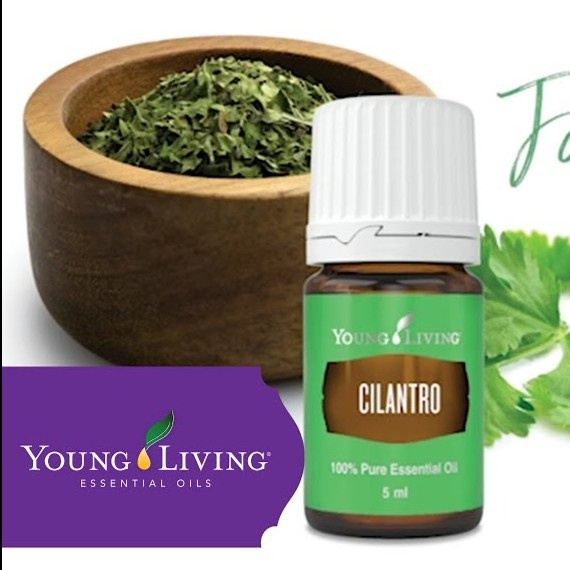 Jual Essential Oil Cilantro Young Living ORIGINAL (5ml) | Shopee Indonesia