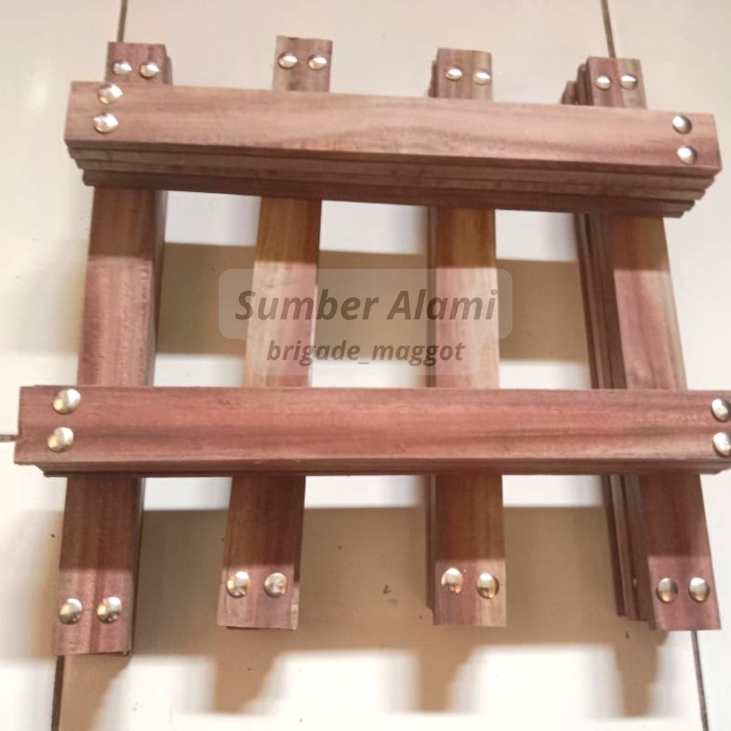 Jual Eggies kayu tempat koleksi telur maggot lalat bsf | Shopee Indonesia