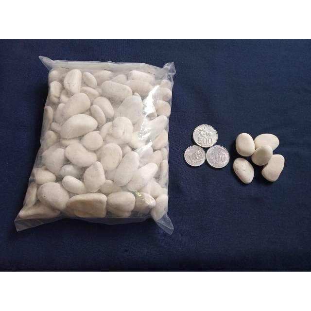 Jual Batu koral coral putih aquarium aquascape taman hias batu alam ...