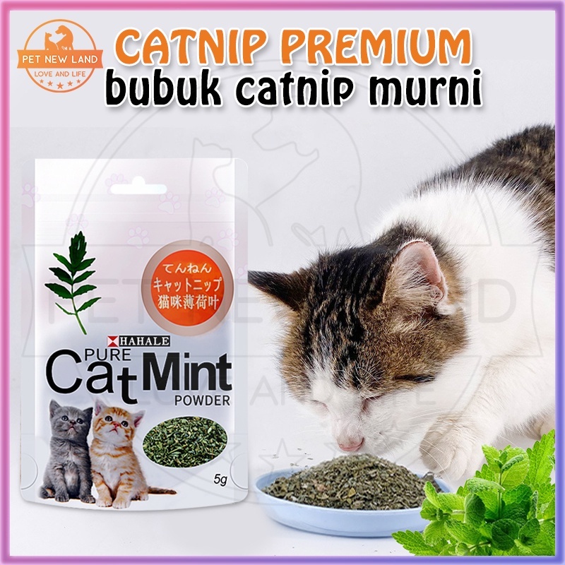Jual Catnip Catmint Snack Kucing Pure Cat Mint Powder Cemilan Hewan ...