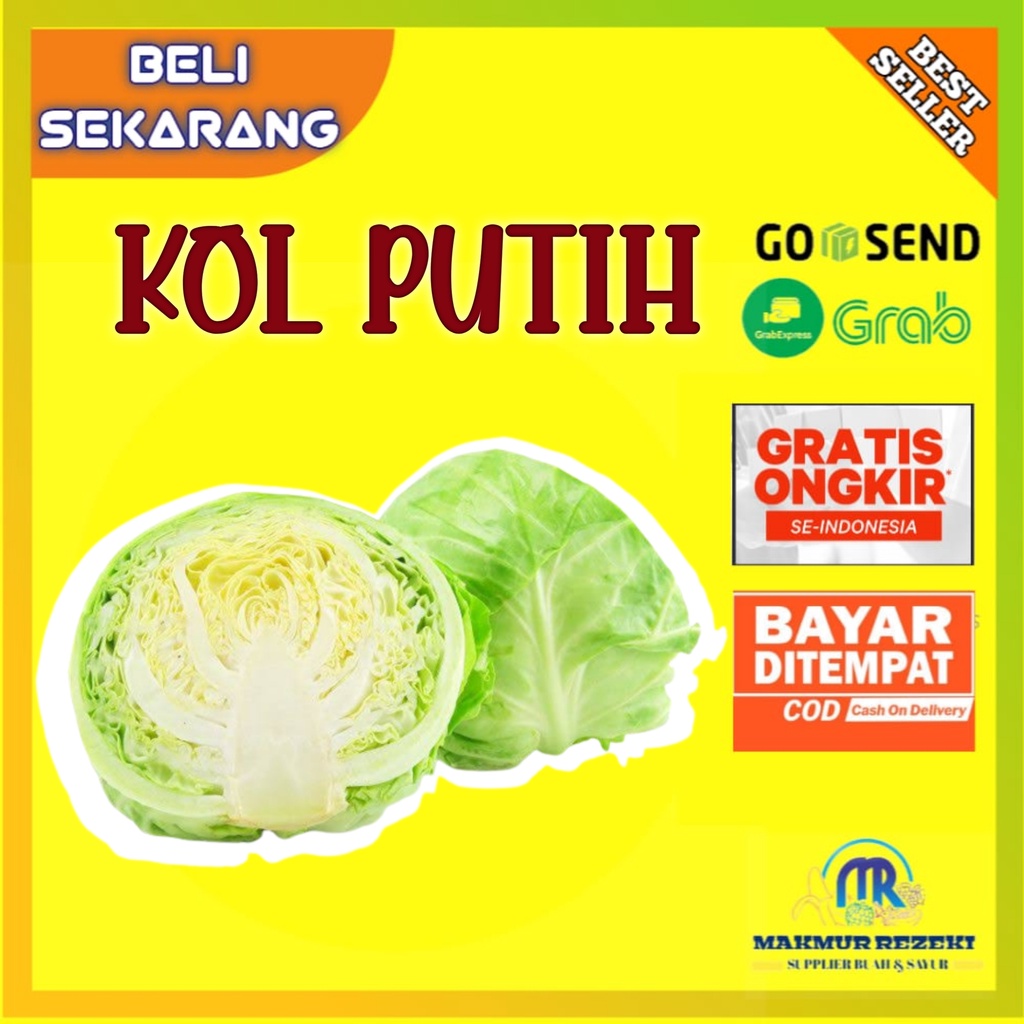 Jual KOL PUTIH KUBIS | Shopee Indonesia