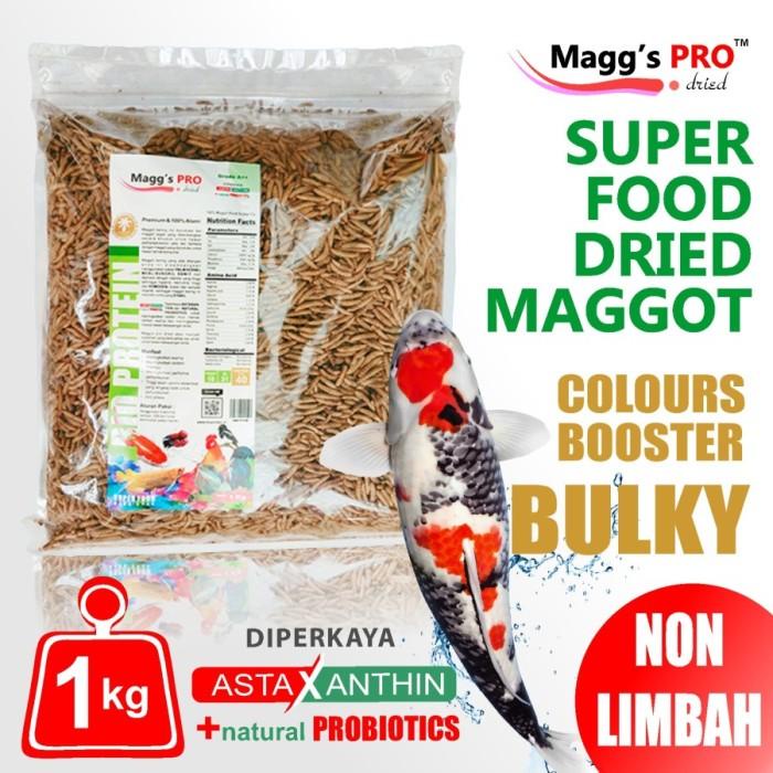 Jual Maggoe | Maggot Kering 1Kg MaggS Pro Super High Quality Dried ...