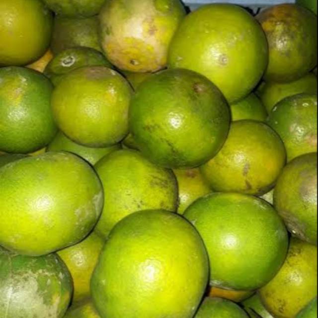 Jual Jeruk Baby Java/1 kg | Shopee Indonesia