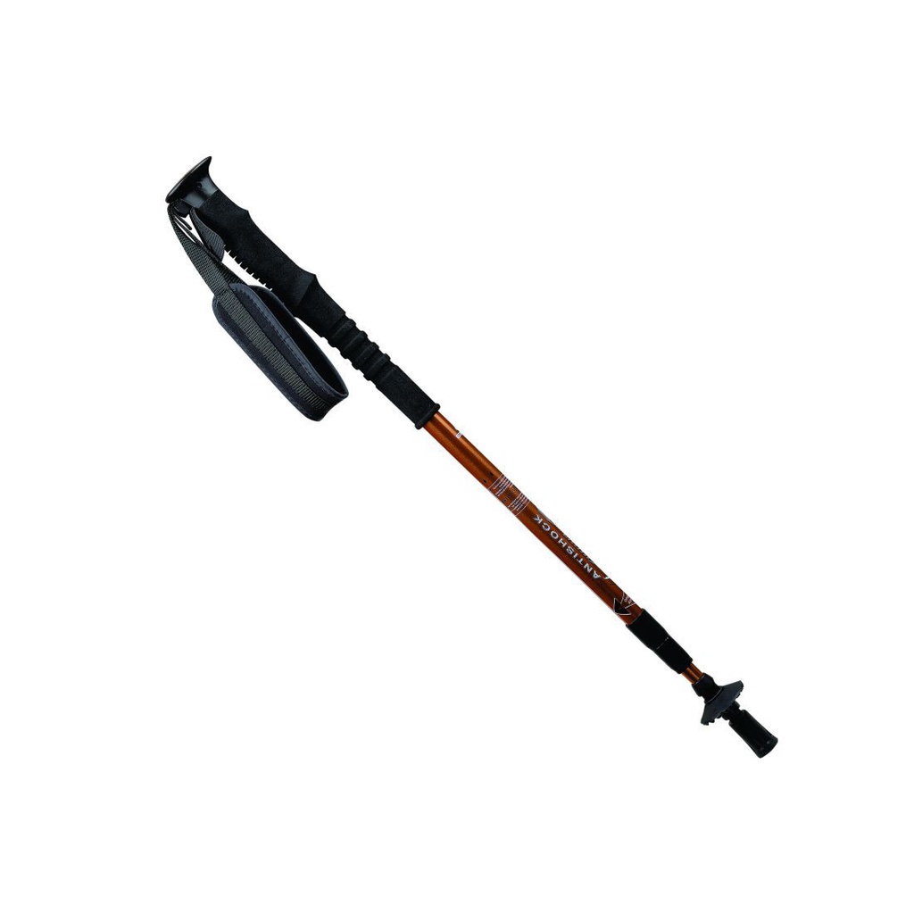 Jual EIGER TREKKING POLE 3 SECTION A | Shopee Indonesia