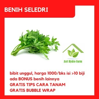 Jual Daun Sop Terlengkap & Harga Terbaru Agustus 2024 | Shopee Indonesia
