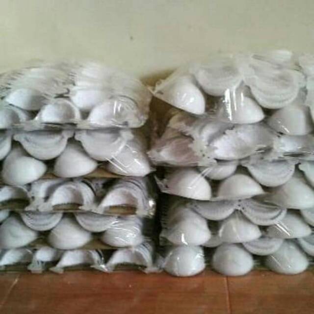 Jual Sarang Walet Imitasi plastik palsu mangkok | Shopee Indonesia