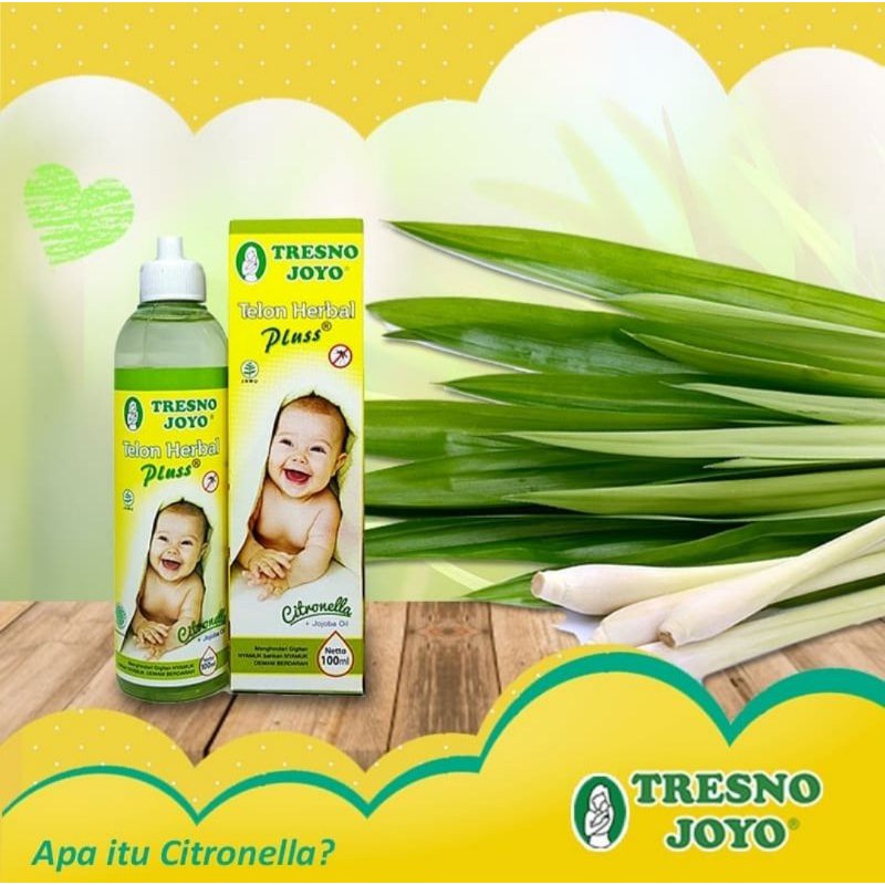 Jual TRESNO JOYO MINYAK TELON HERBAL PLUS 100ML | Shopee Indonesia