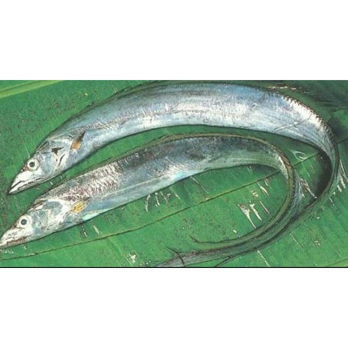 Jual Ikan Layur Segar 1000 Gram | Shopee Indonesia