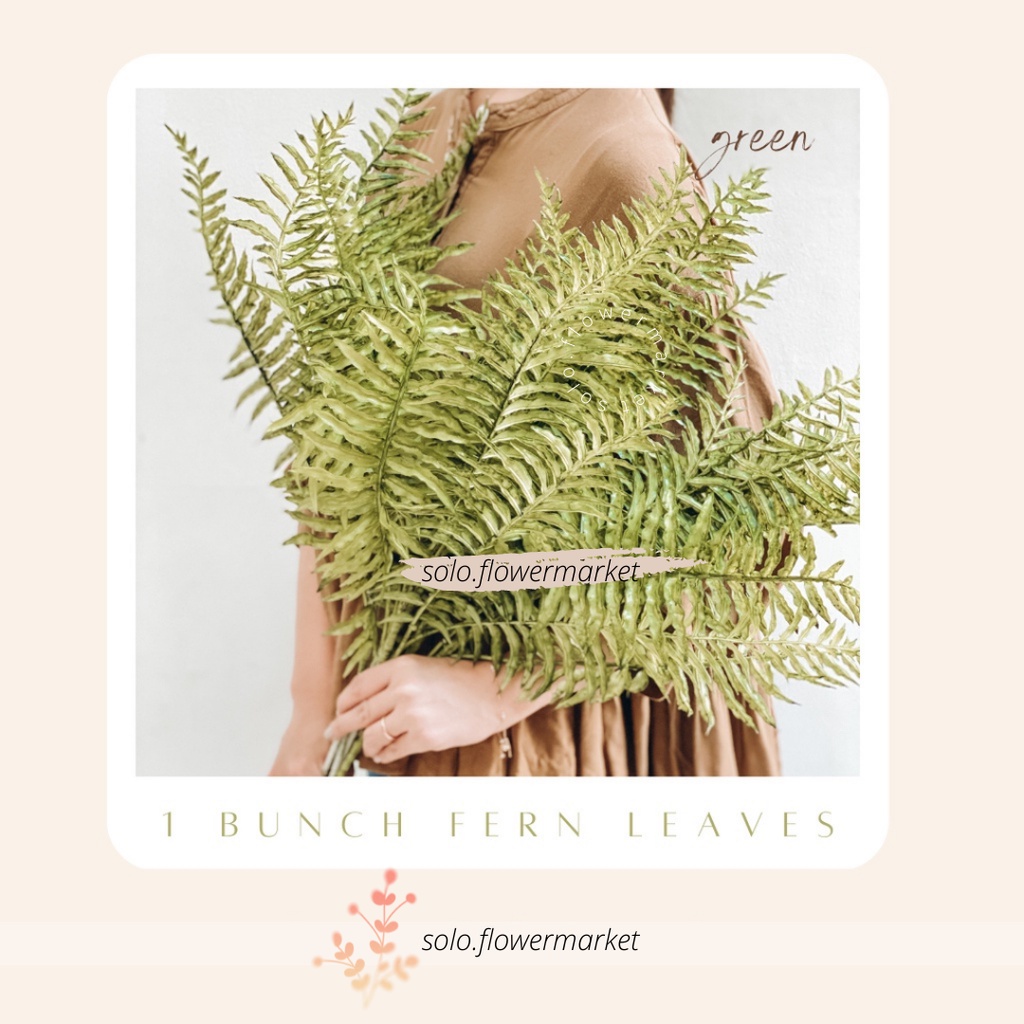 Jual 76cm FERN PERSIA BUNCH ARTIFICIAL Daun Fern Persia Panjang Artificial 5 CABANG BIG ...